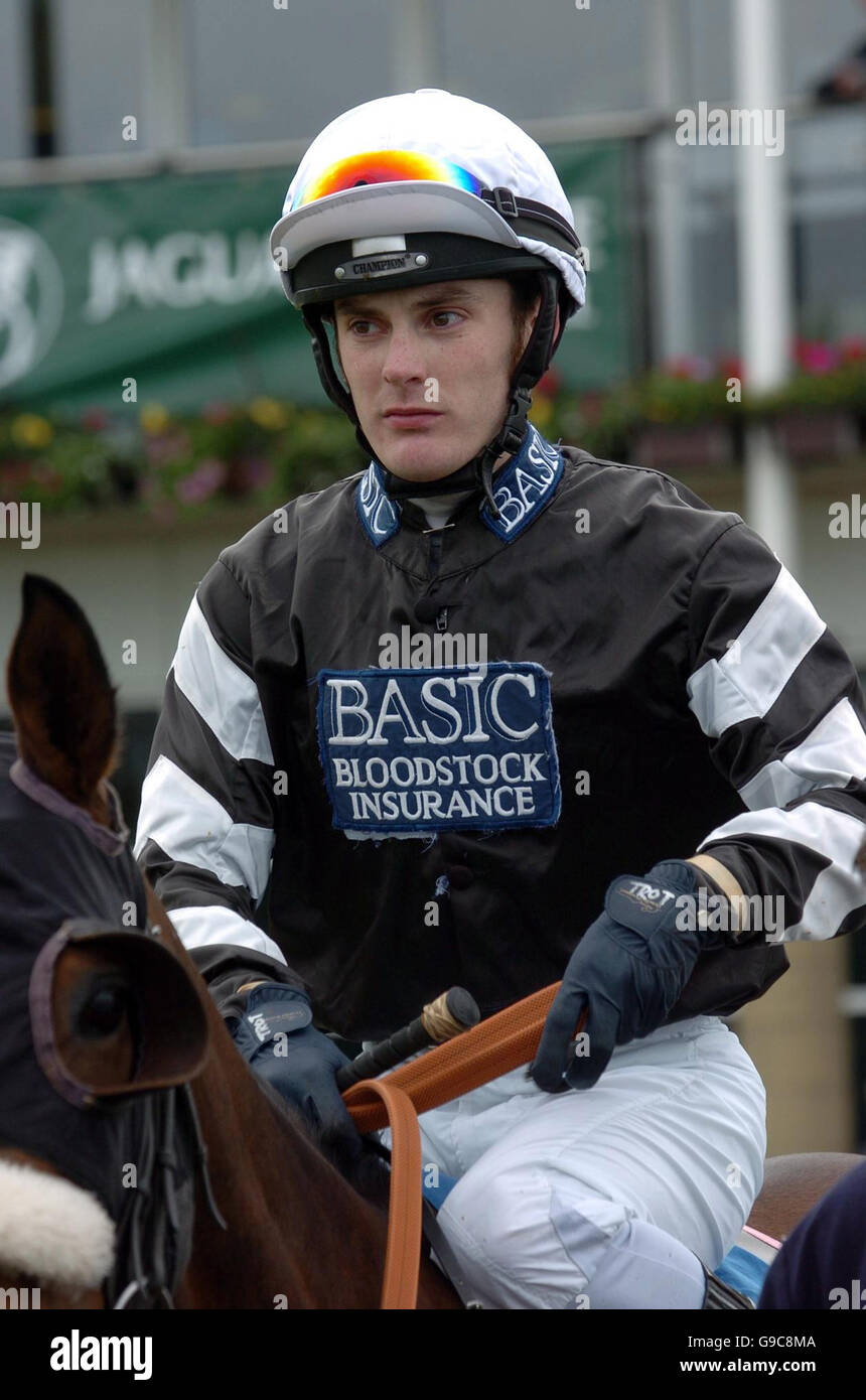 Horse Racing - Beverley Stock Photo - Alamy