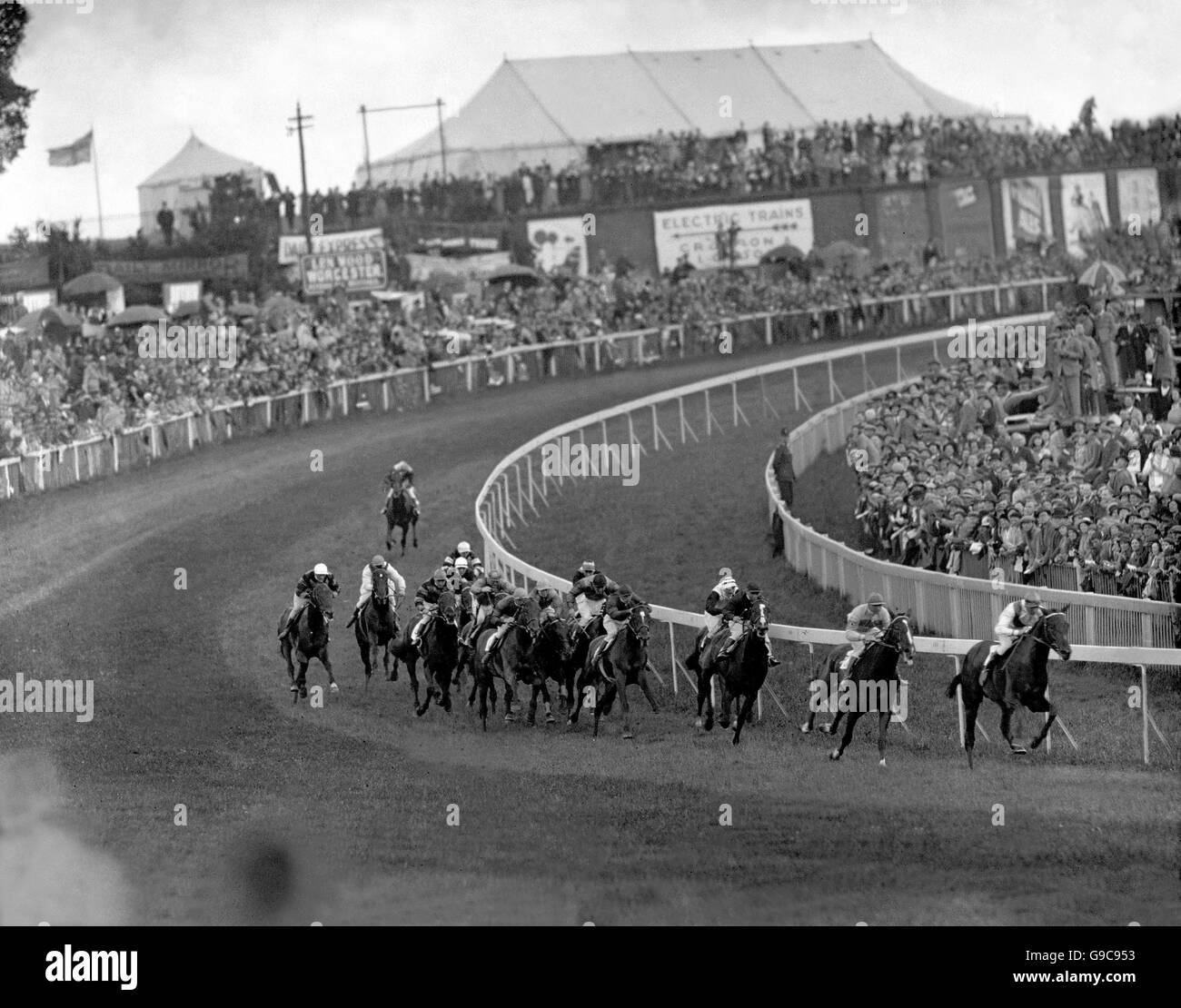 Freddie fox Black and White Stock Photos & Images - Alamy
