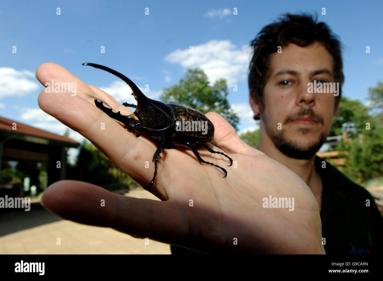 National Insect Week High Resolution Stock Photography and Images - Alamy
