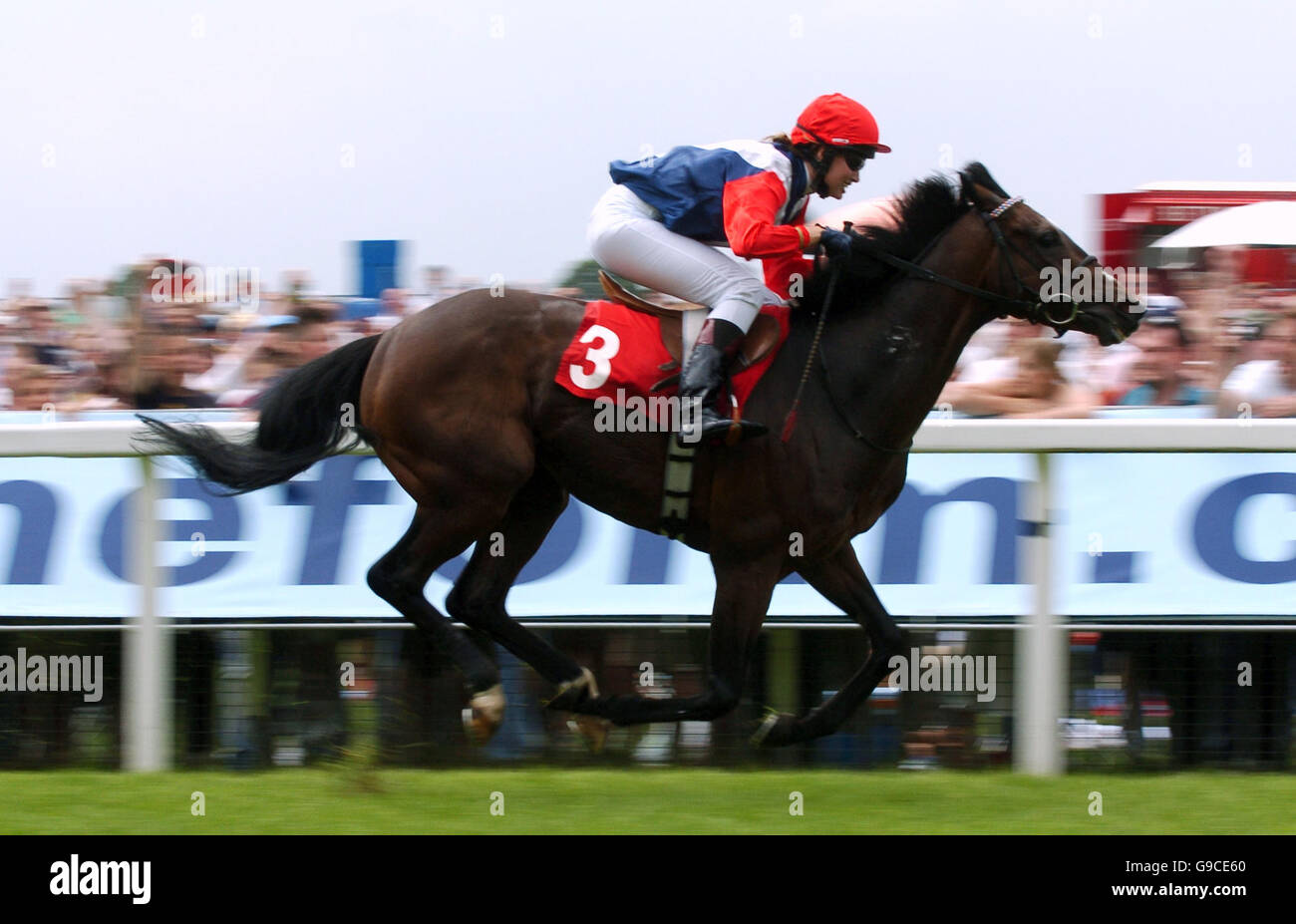 Horse racing the 36th timeform charity day york racecourse hi-res stock ...