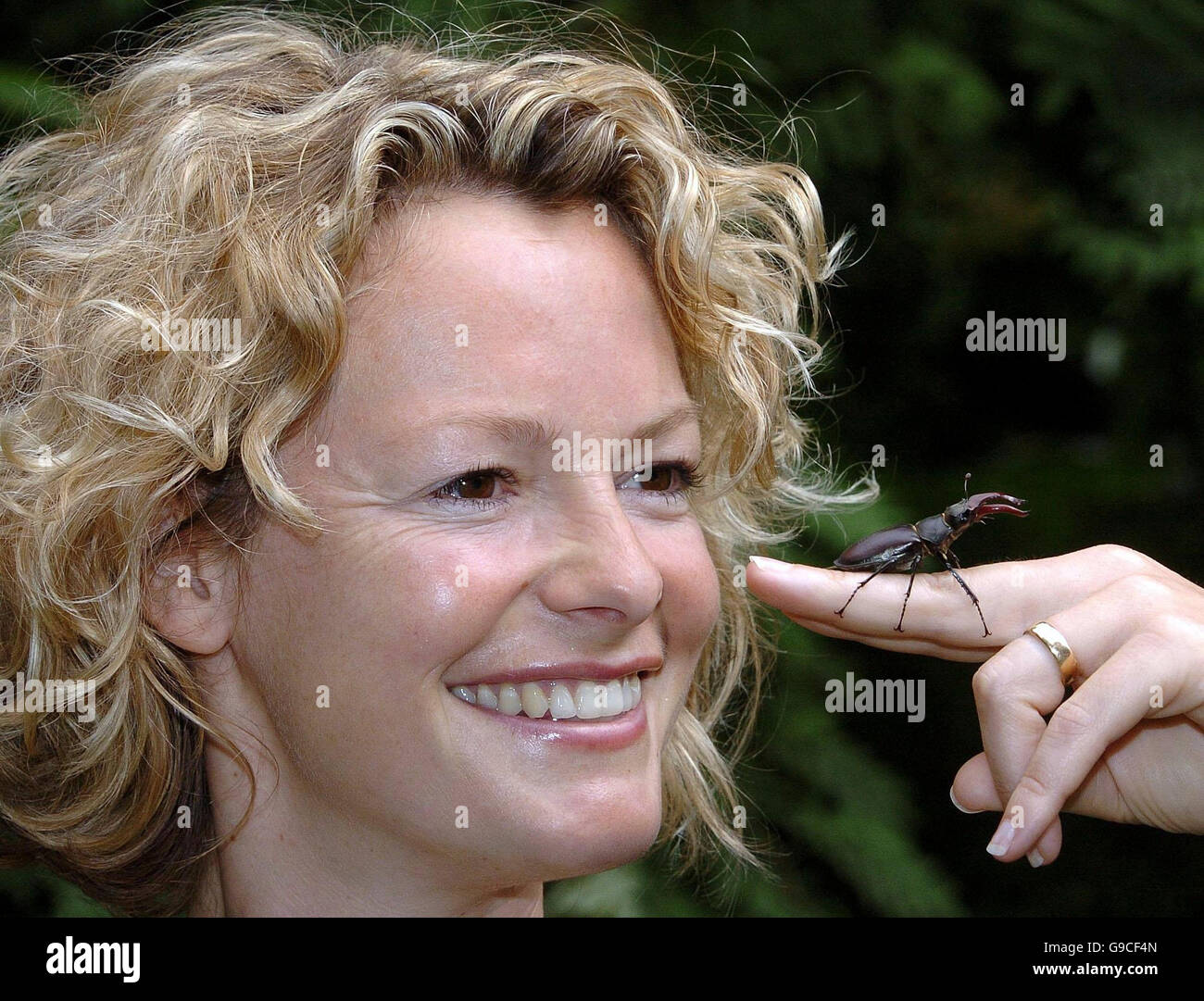 BBC Springwatch presenter Kate Humble handles a male Stag Beetle, at ...
