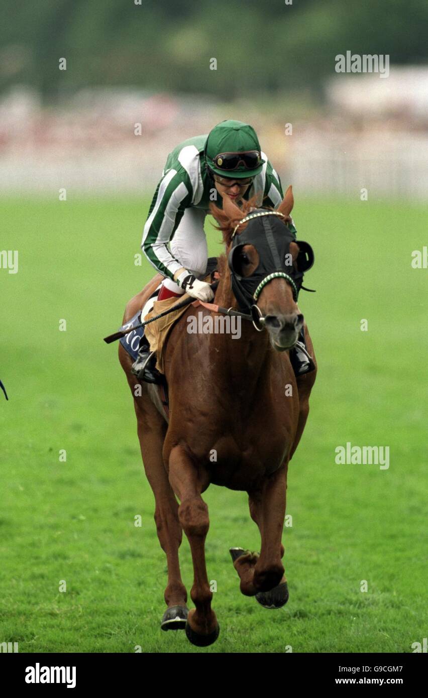 Royal holland cup hi-res stock photography and images - Alamy