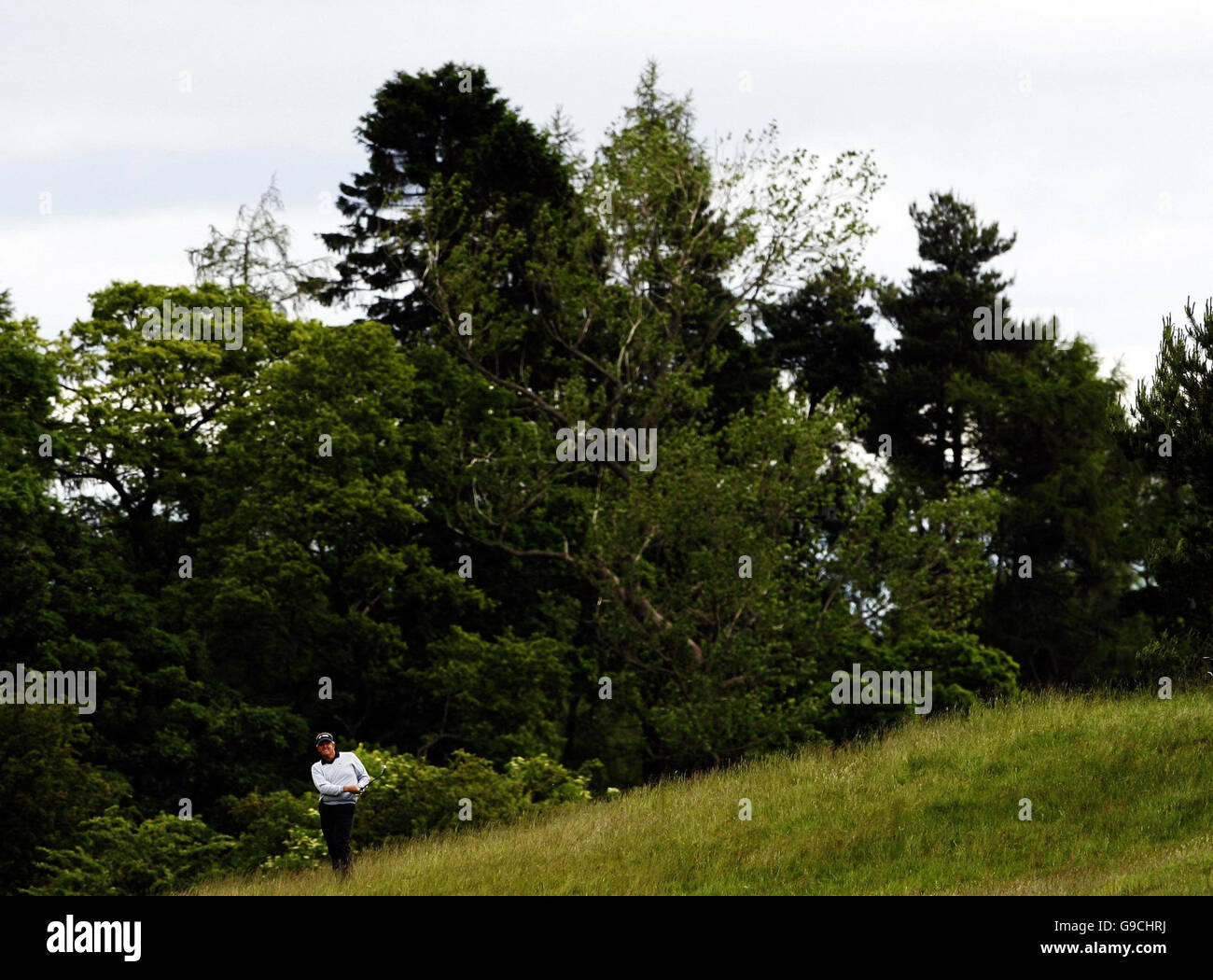 Scotland's Colin Montgomerie on the 16th fairway during the second ...