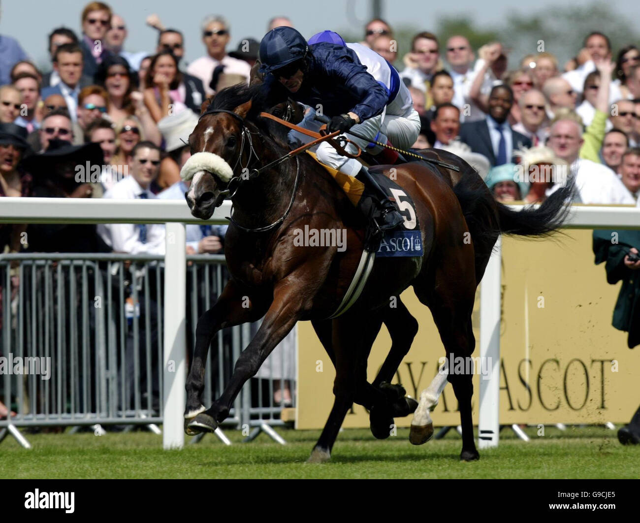 Racing - Royal Ascot Stock Photo - Alamy