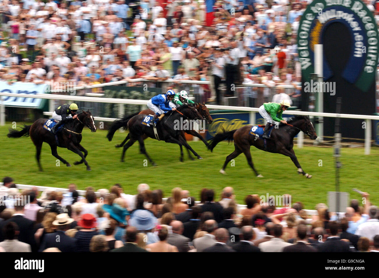 Horse racing the 36th timeform charity day york racecourse hi-res stock ...