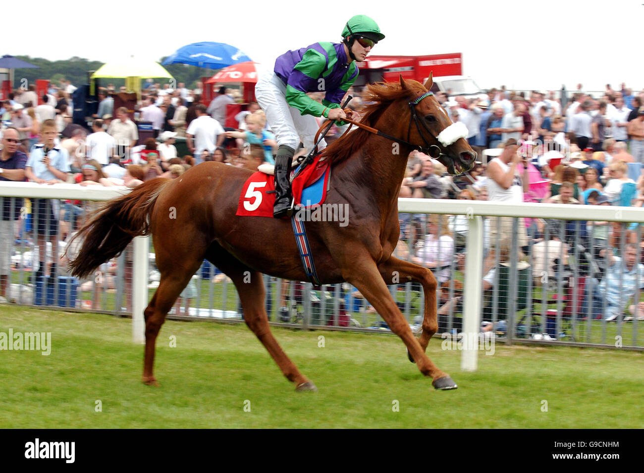 Jockey Tom Queally goes to post on Krugerrand prior to the Cadogan ...