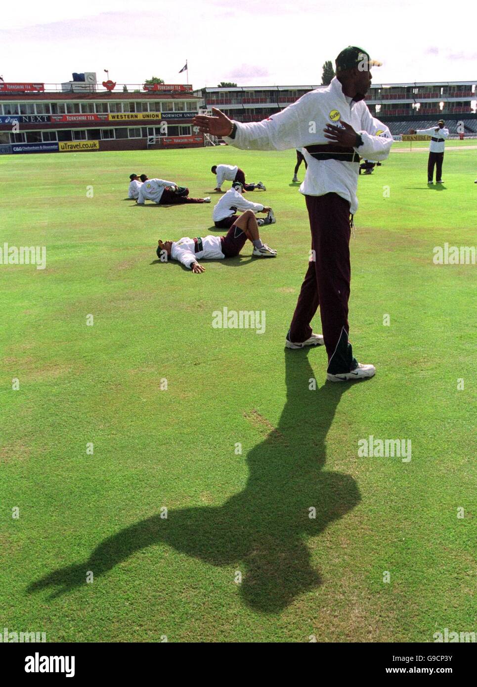 Cricket shadow hi-res stock photography and images - Alamy