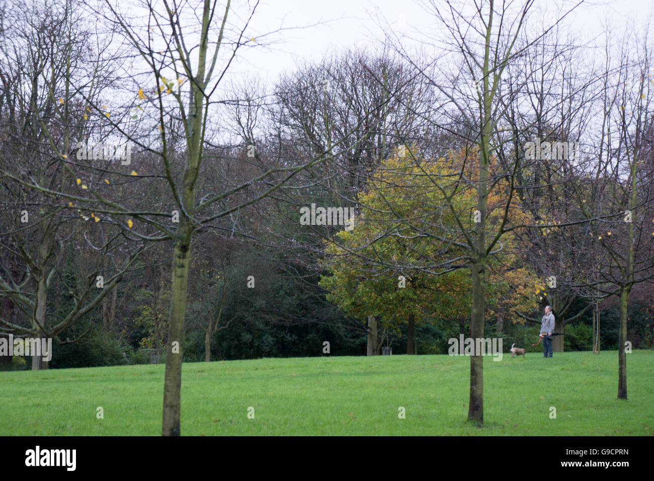 Waterloo park, London Stock Photo - Alamy