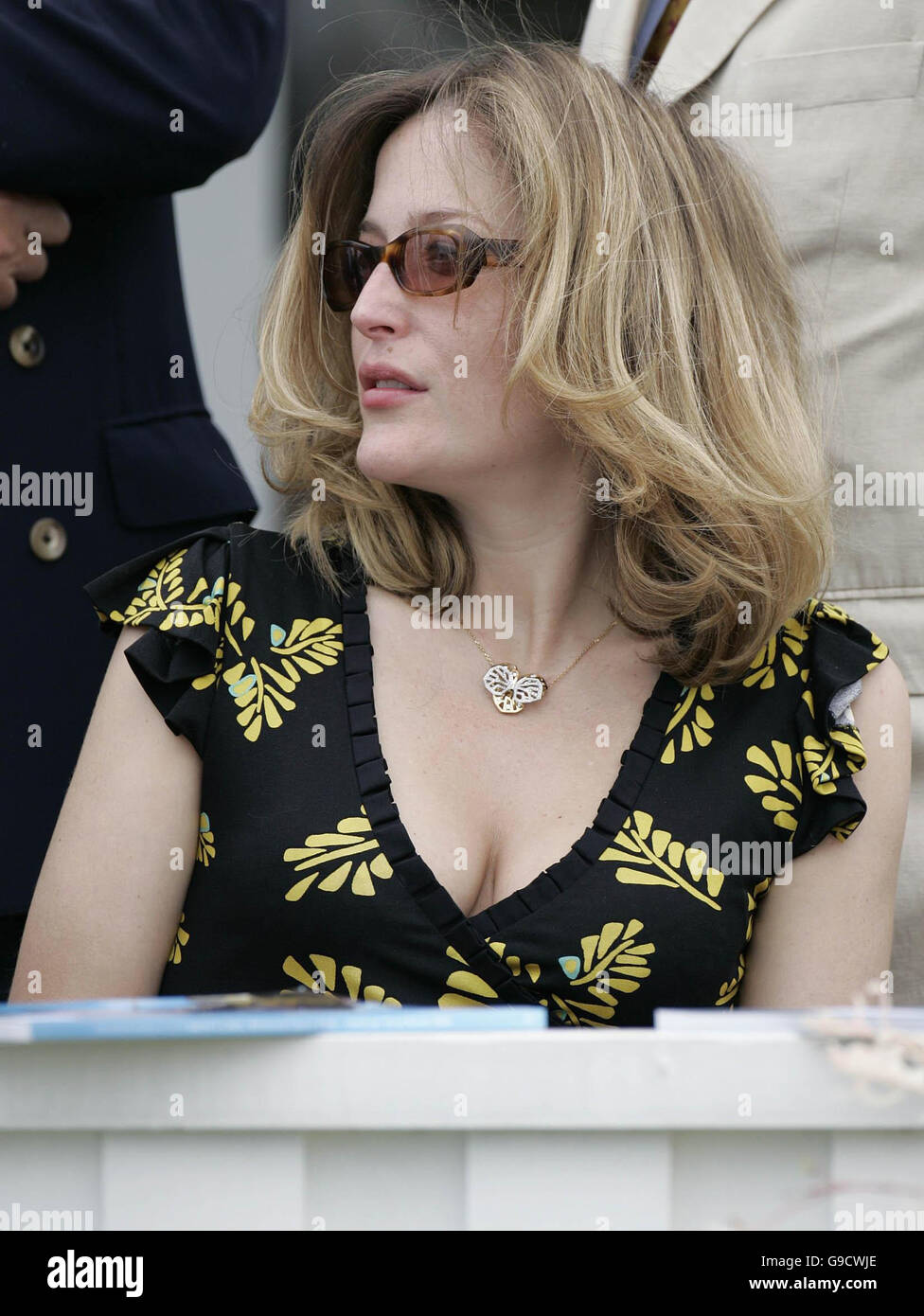 Actress Gillian Anderson watching the Queen's Cup Final at the Guards ...