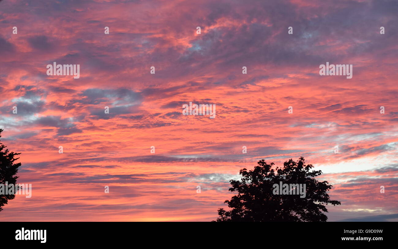 Red sky with trees hi-res stock photography and images - Alamy