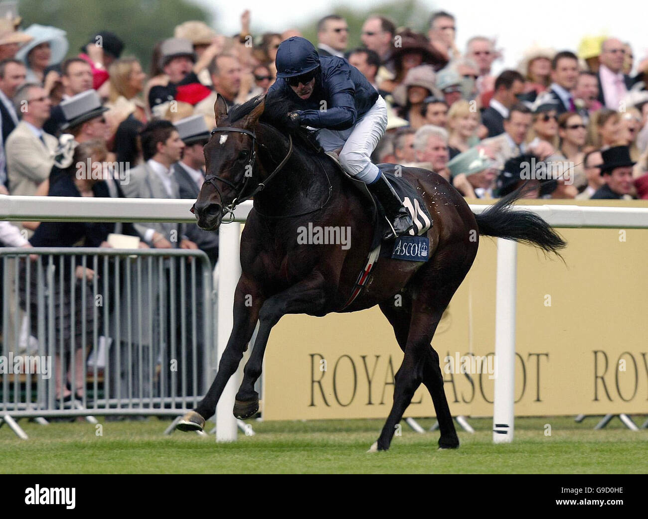 Yeats horse ascot hi-res stock photography and images - Alamy