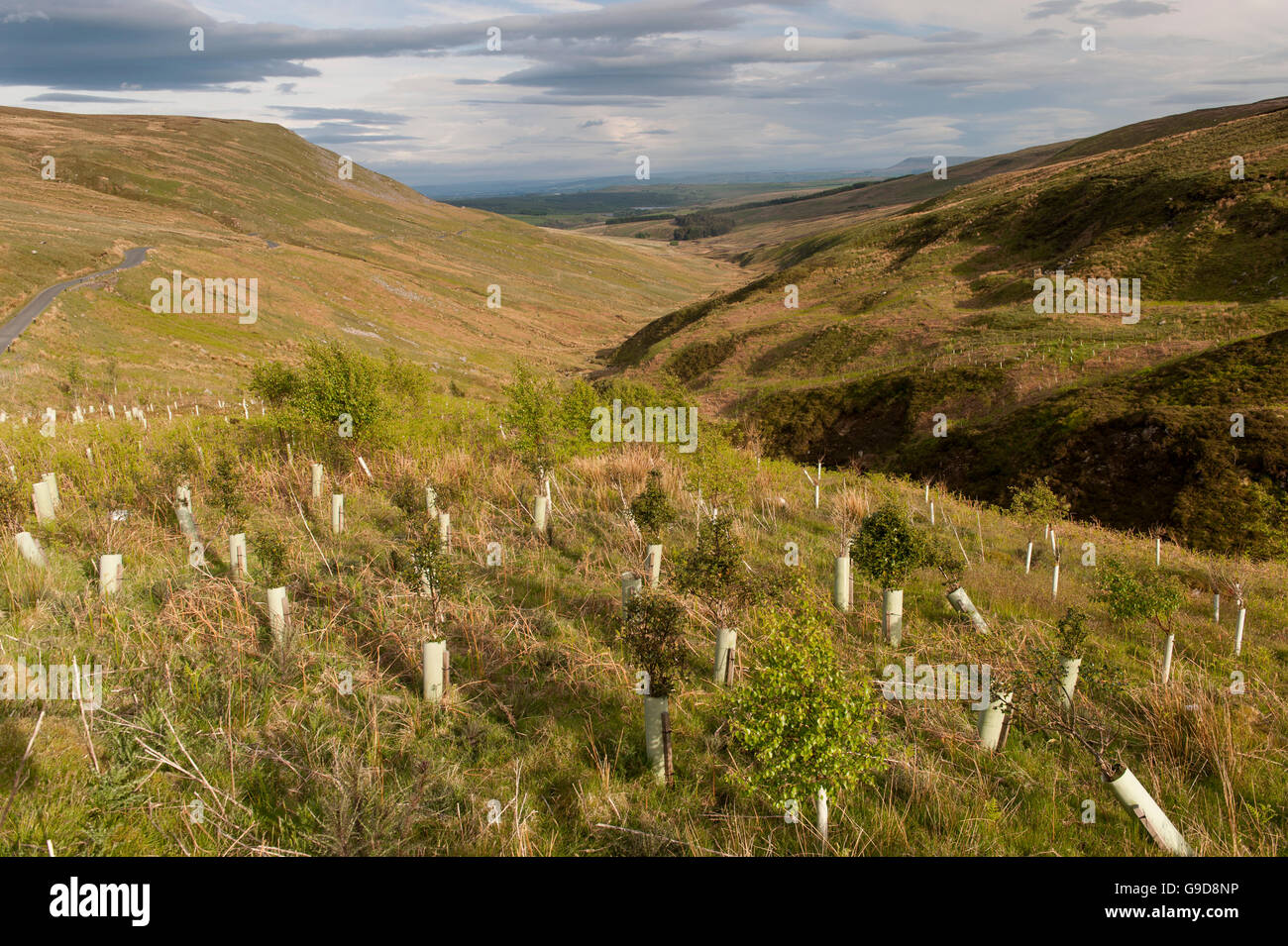 River hodder valley hi-res stock photography and images - Alamy