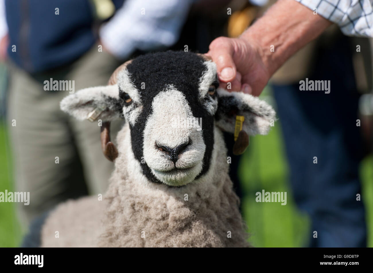 Showing the face hi-res stock photography and images - Alamy