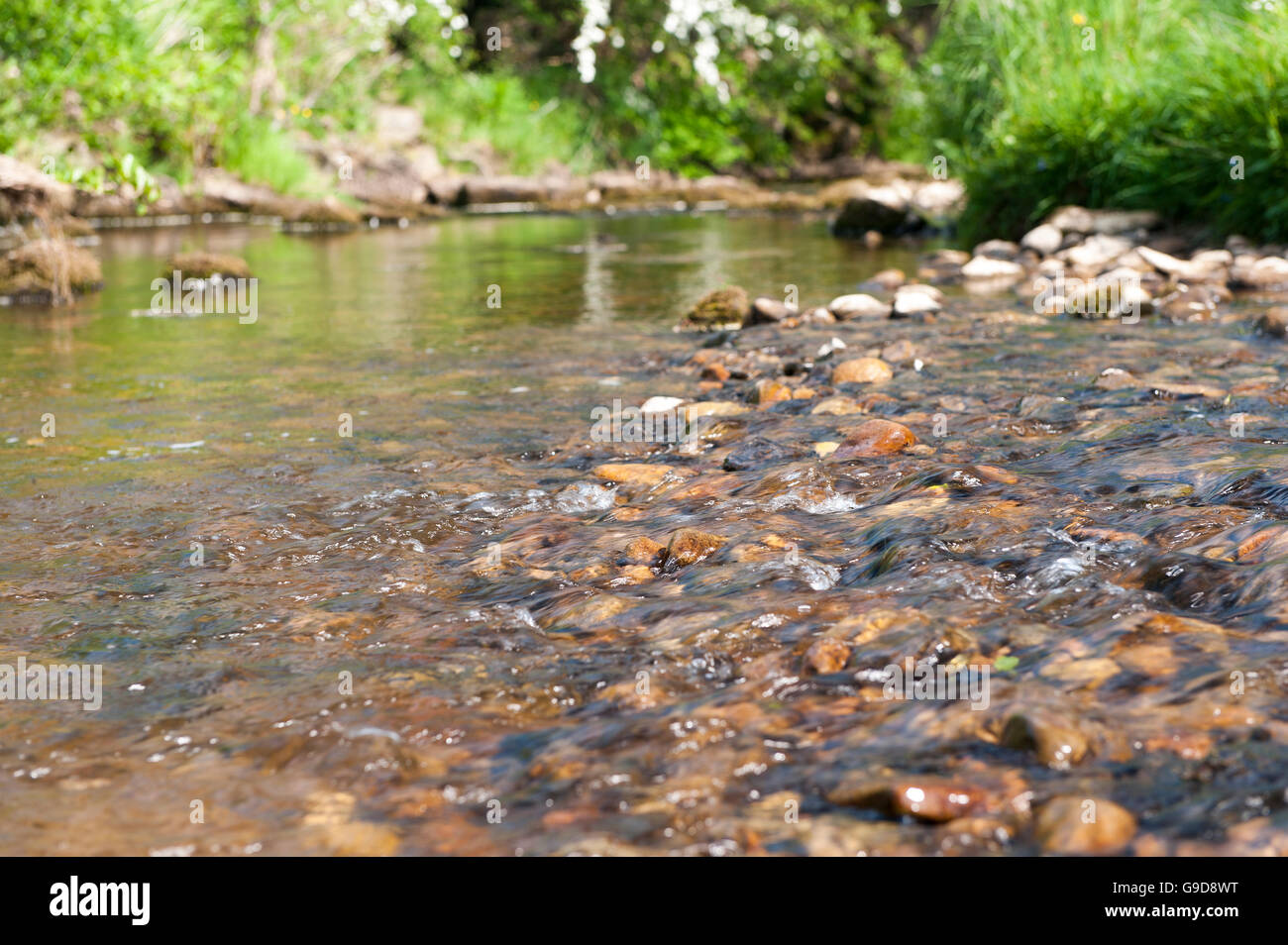Unpolluted river hi-res stock photography and images - Alamy