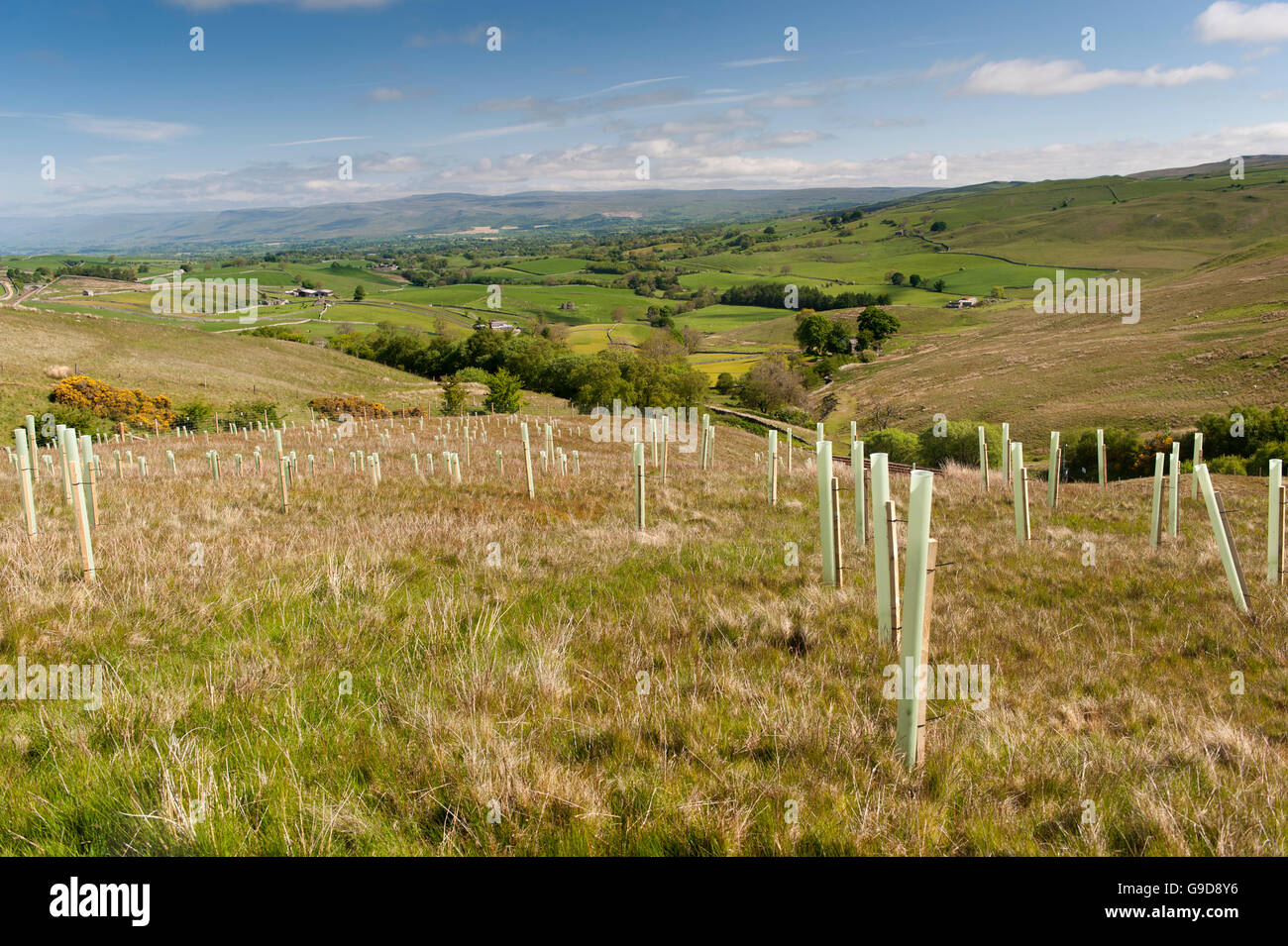 Habitat landscape hi-res stock photography and images - Alamy