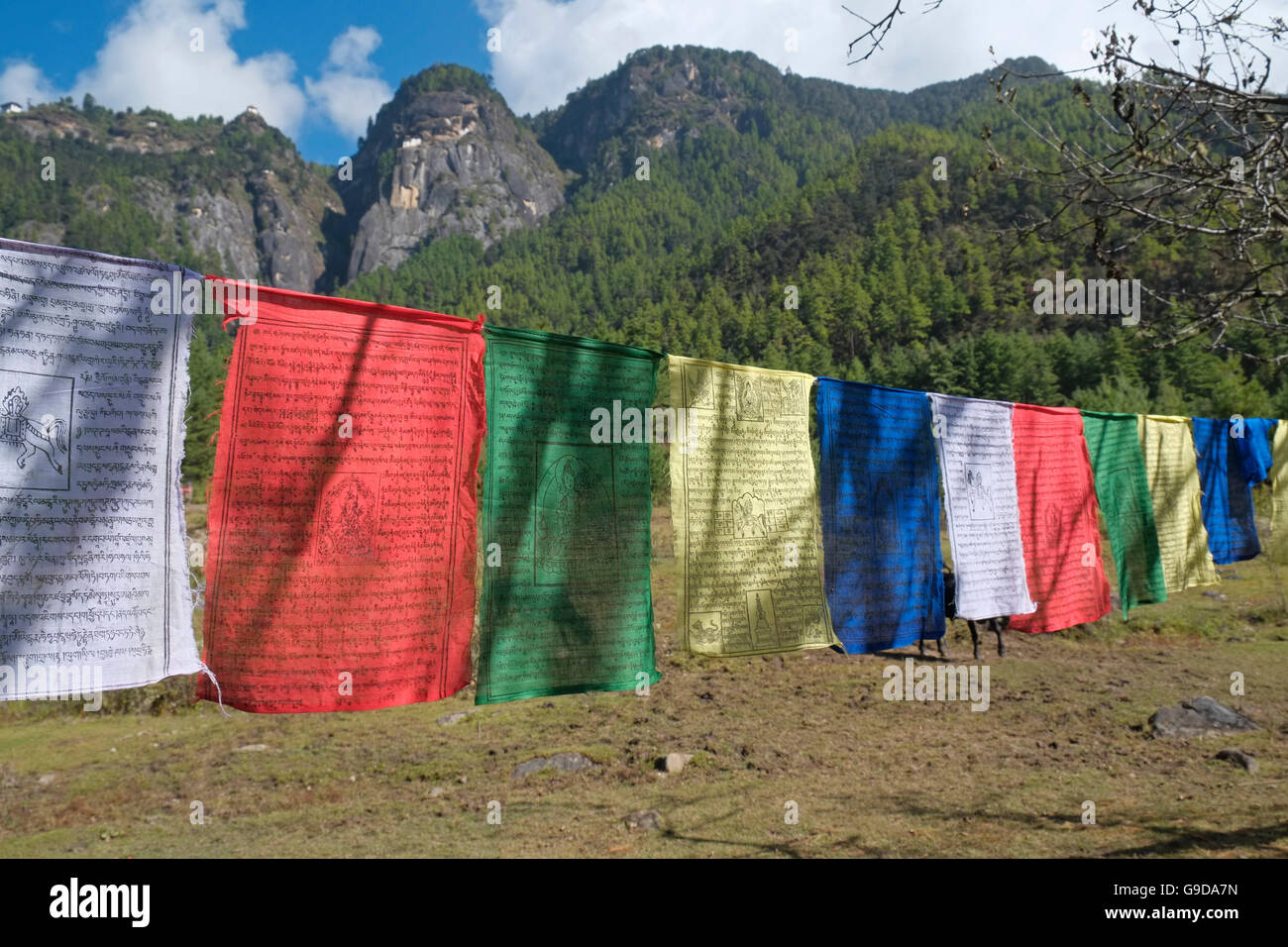Buddhist prayer flags (Lung ta style) on the Taktsang trail, Paro ...