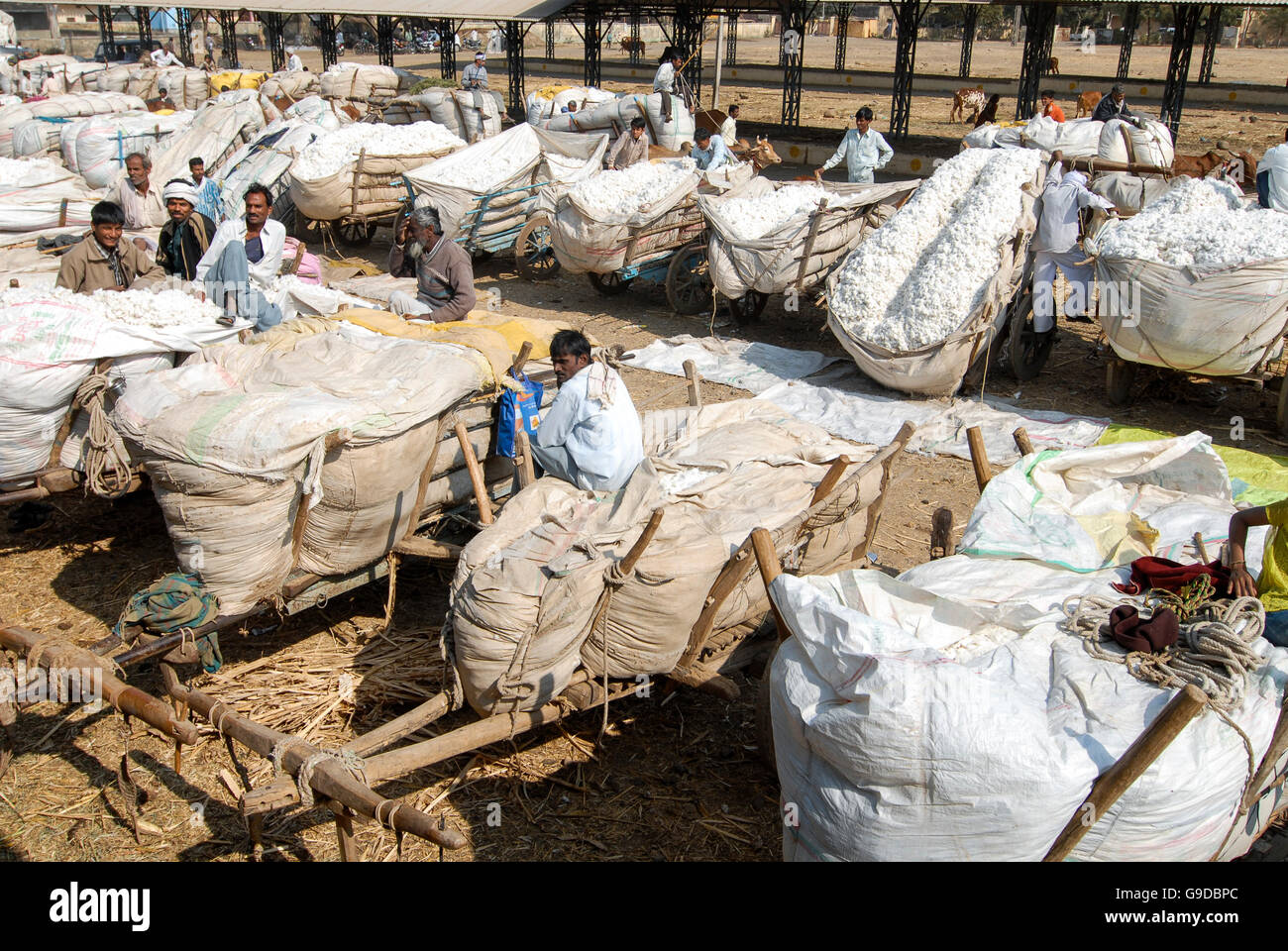 Cotton Market High Resolution Stock Photography and Images - Alamy