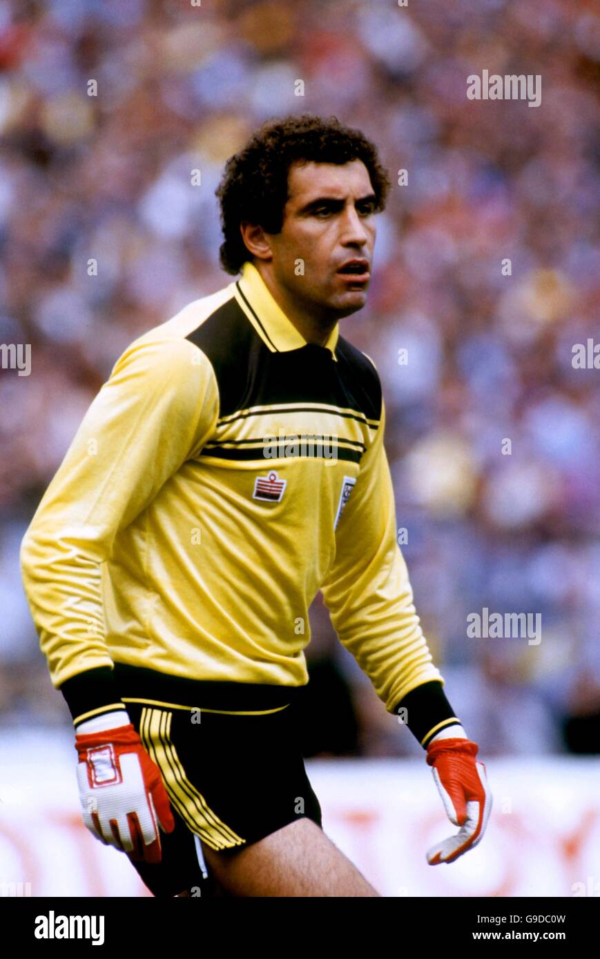 Peter shilton hi-res stock photography and images - Alamy
