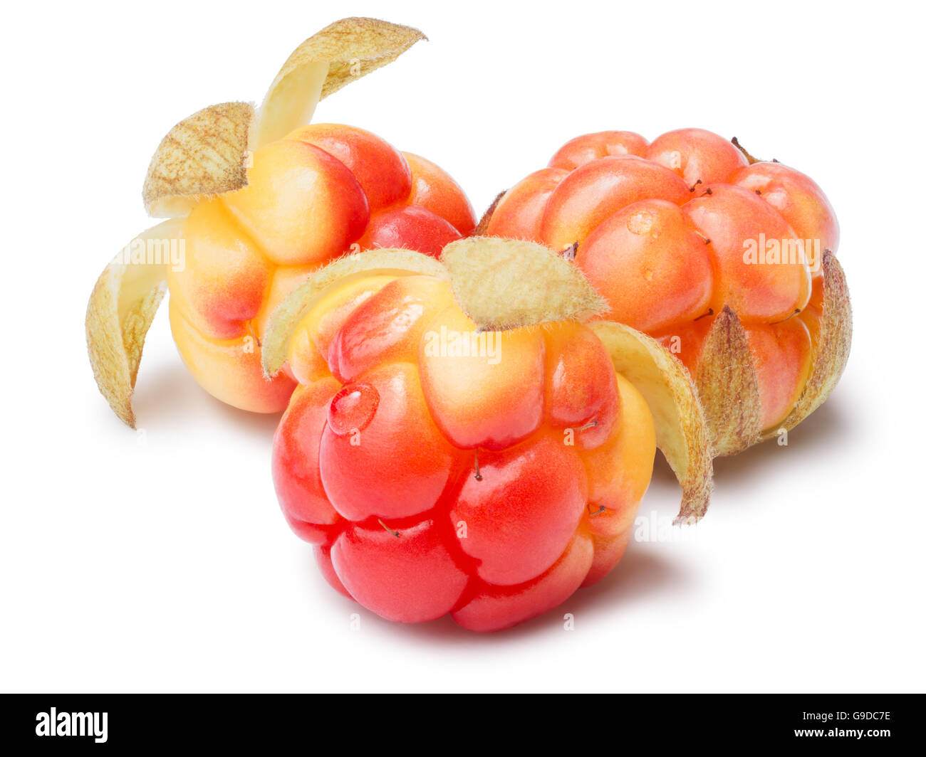 Cloudberries hi-res stock photography and images - Alamy