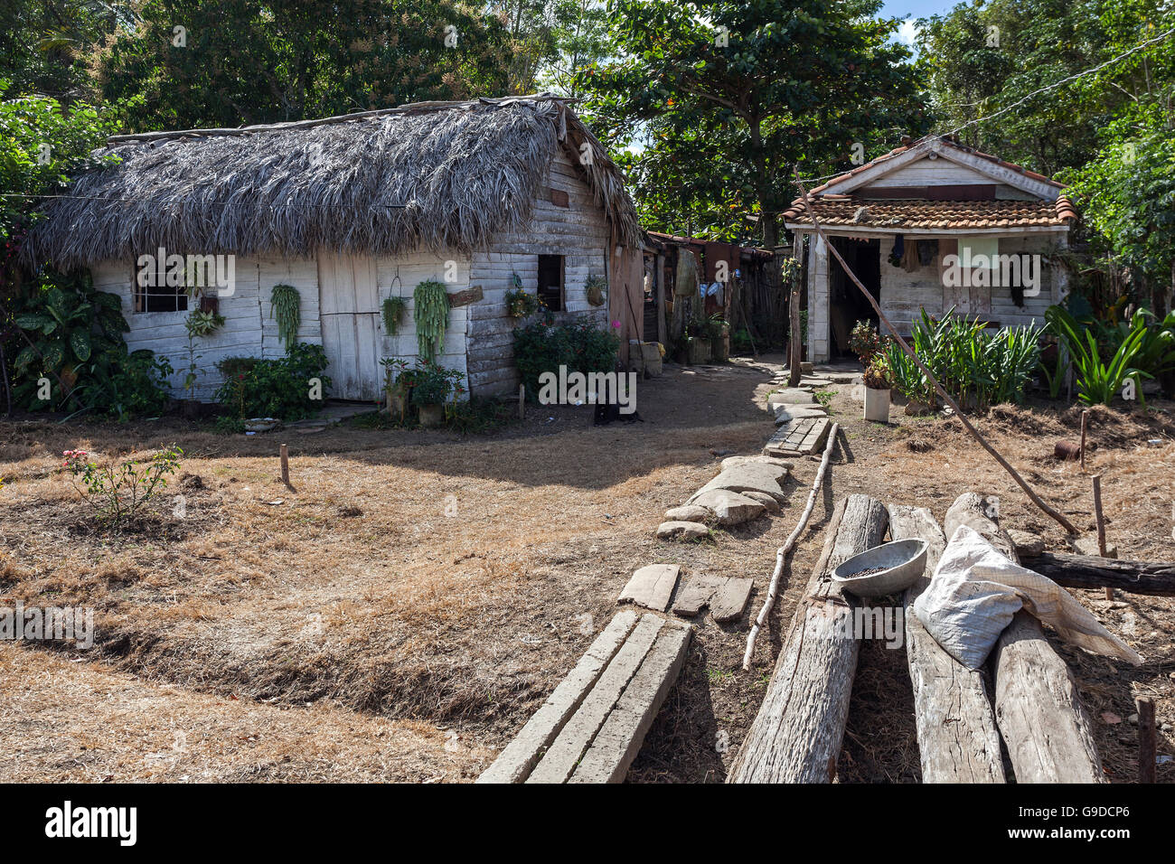 Typical rural property, wooden houses, farmhouse in Camagüey, Cuba ...