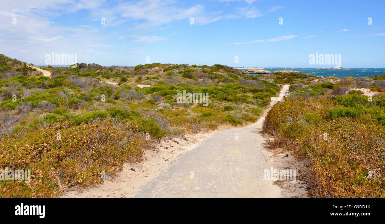 Hiking path through green coastal dunes at Cape Peron with the Indian ...