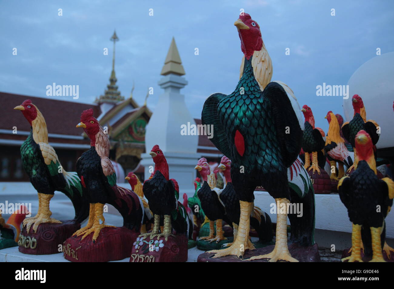 a chicken Temple near the city of Khorat or Nakhon Ratchasima in the ...