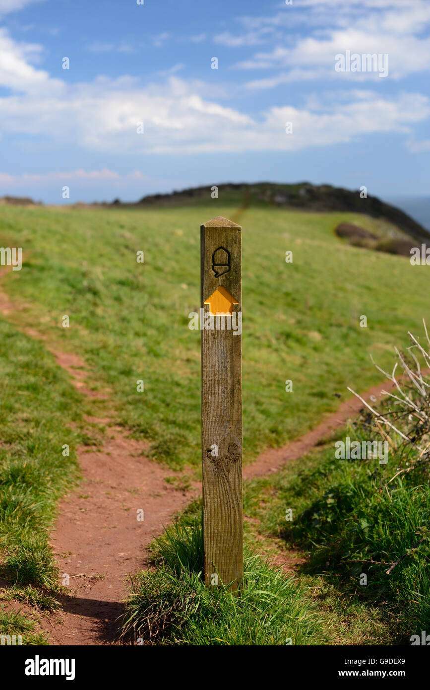 Waymarker post along the South West Coast Path near Sharkham Point ...