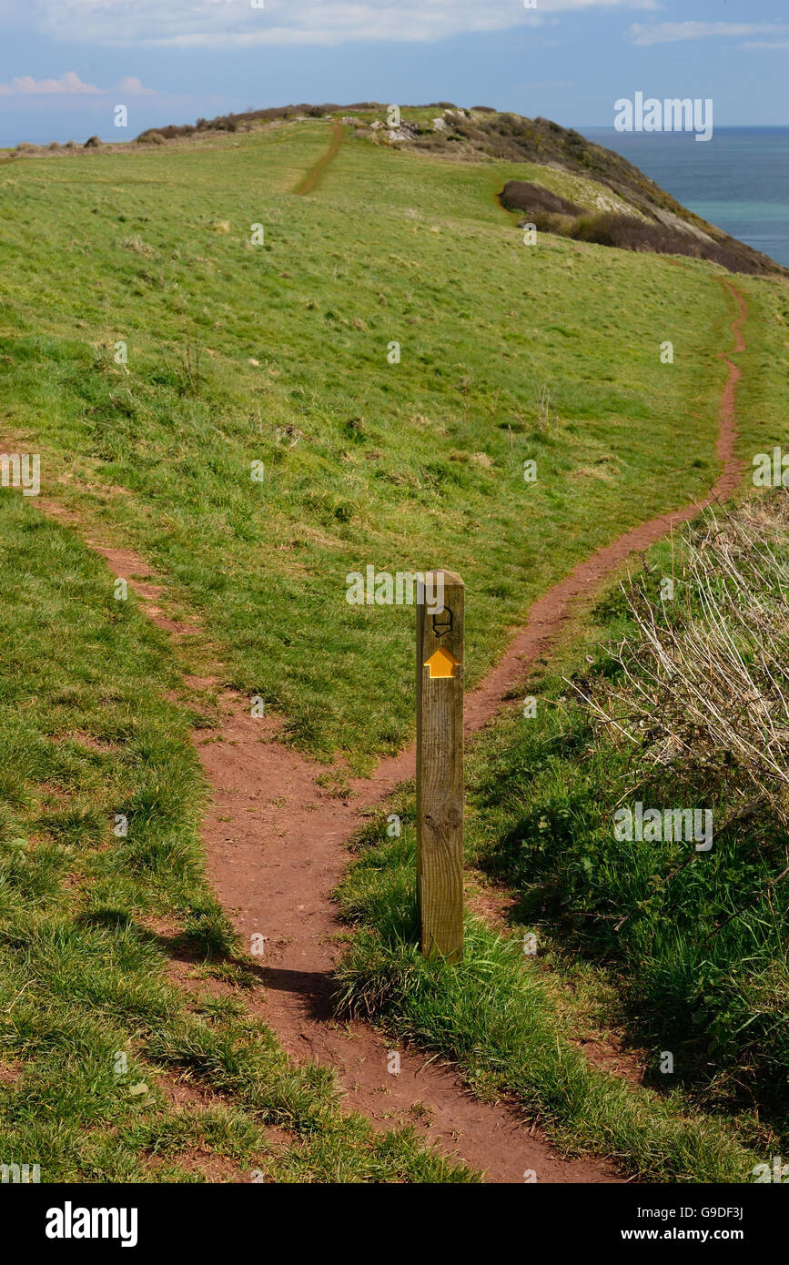 Waymarker post along the South West Coast Path near Sharkham Point ...