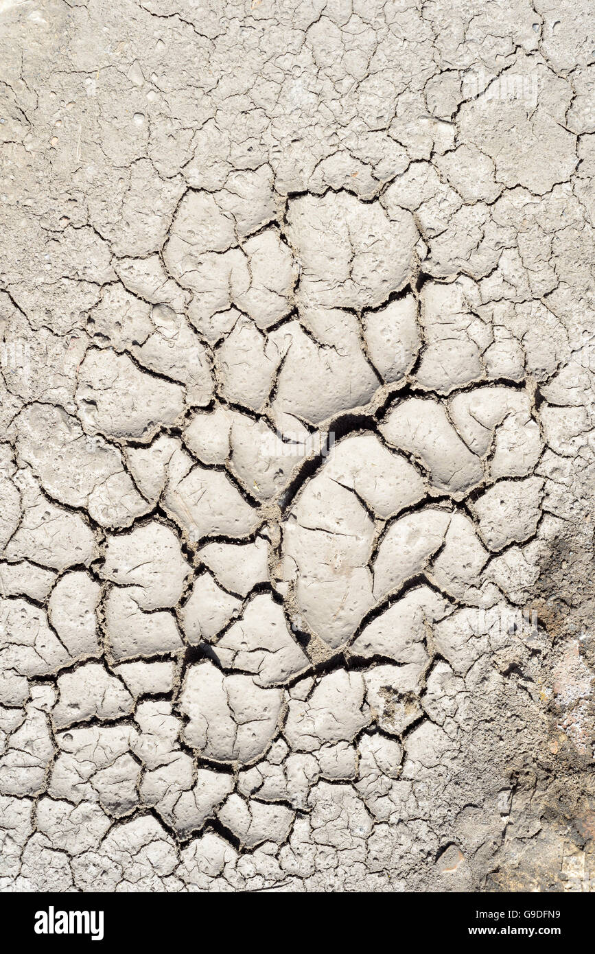Dry mud texture of a dried riverbed due to excessive heat and drought ...