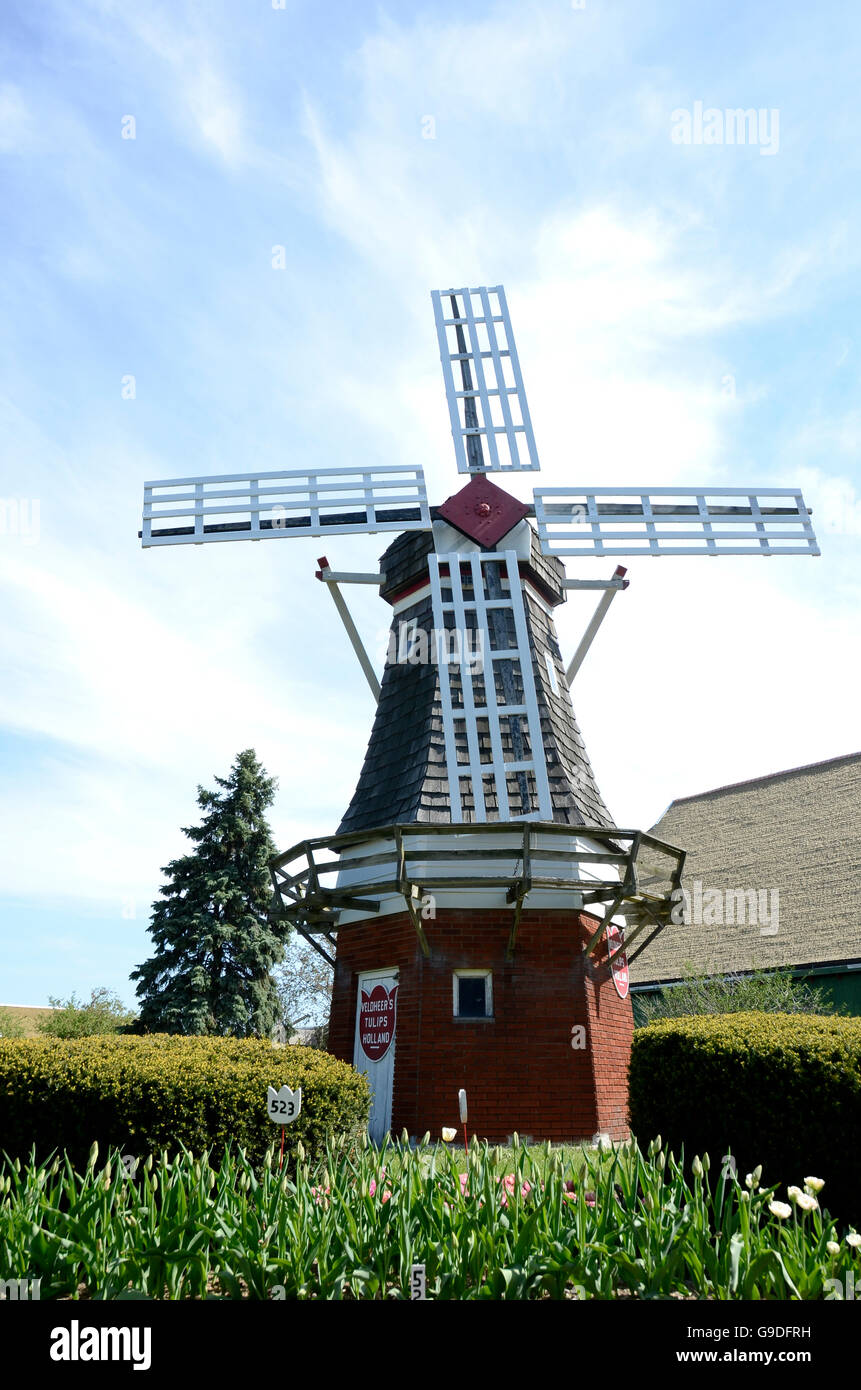 Windmill at Veldheer farm during tulip time festival in Holland ...
