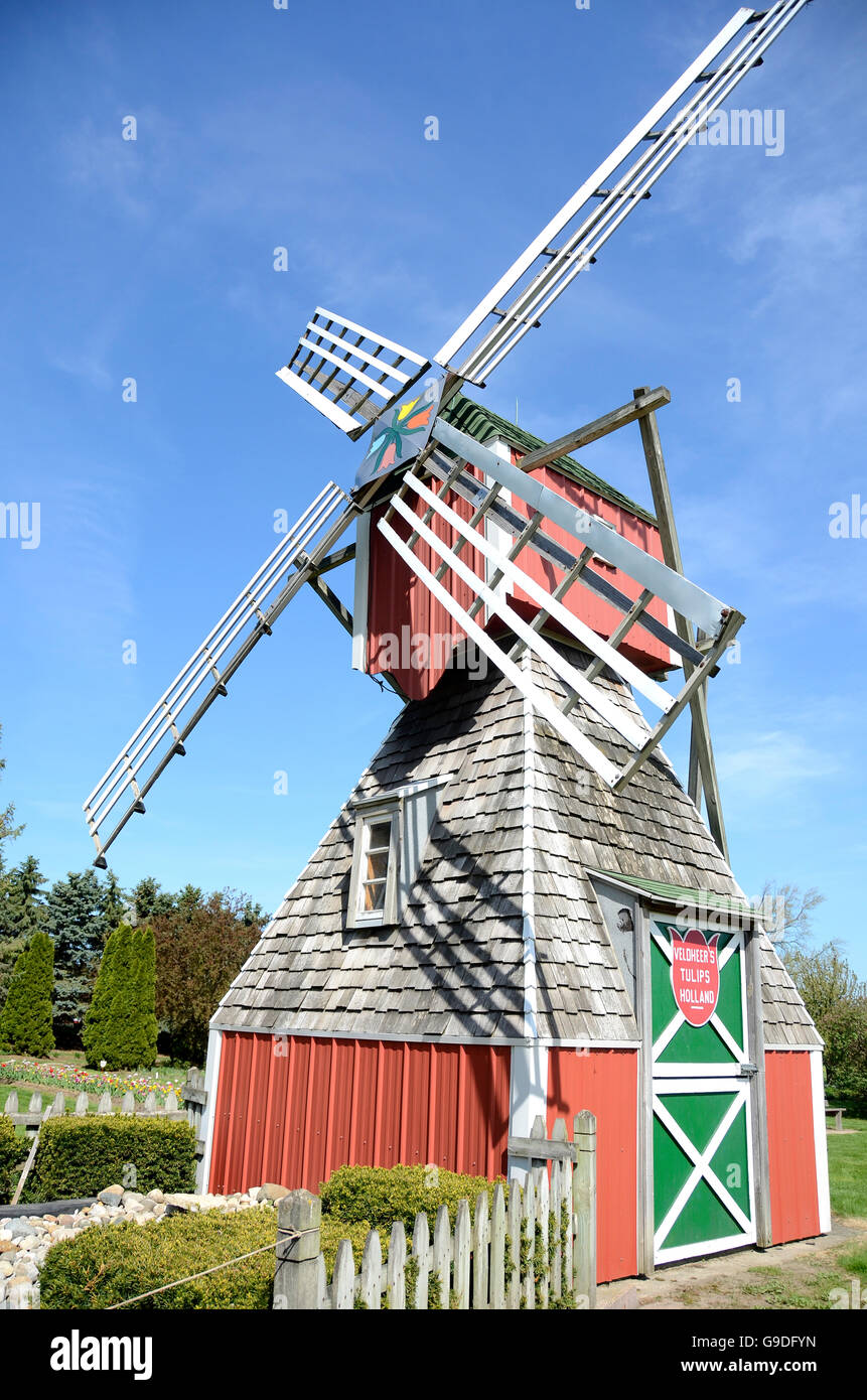 Windmill at Veldheer farm during tulip time festival in Holland ...