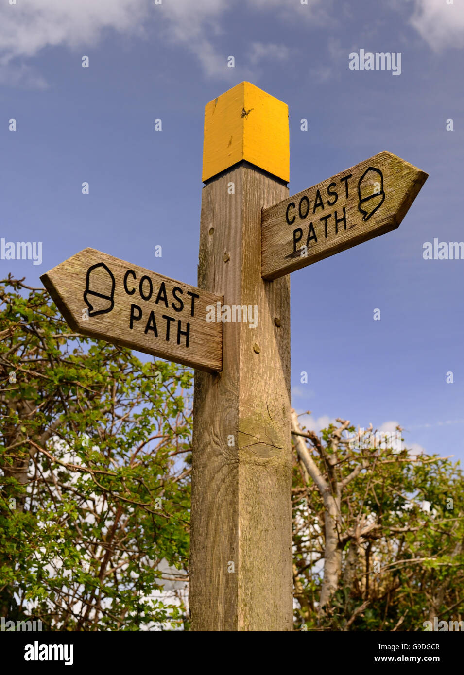 Signpost on the South West Coast Path Stock Photo - Alamy