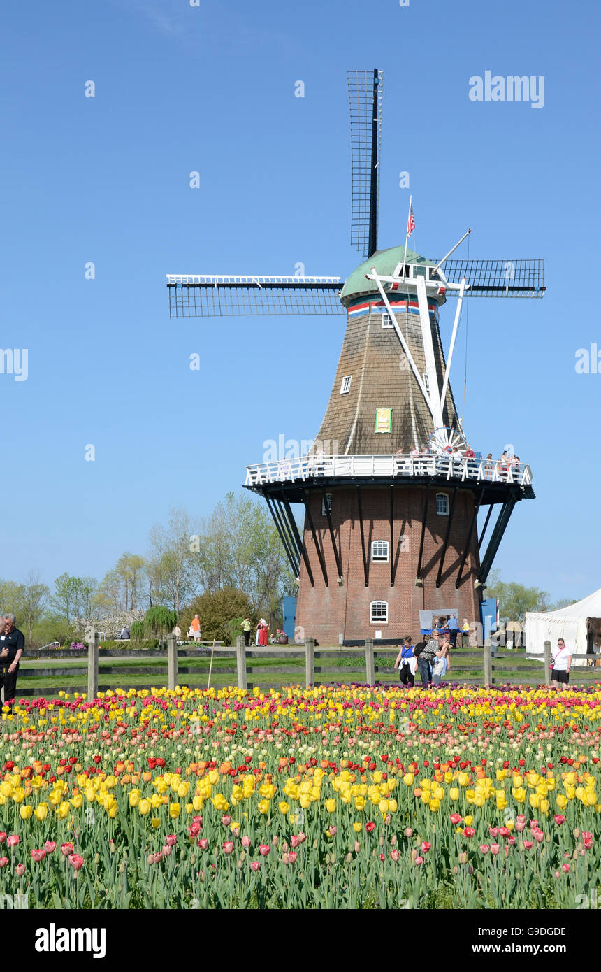 De Zwaan windmill at Windmill Island in Holland, Michigan during the ...