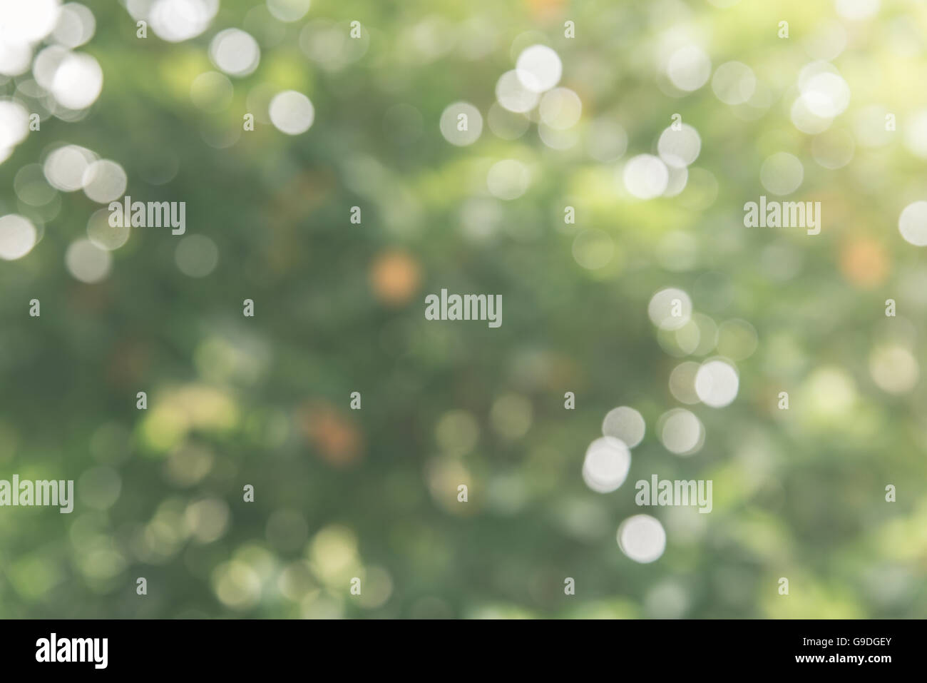 Abstract green bokeh background Stock Photo - Alamy