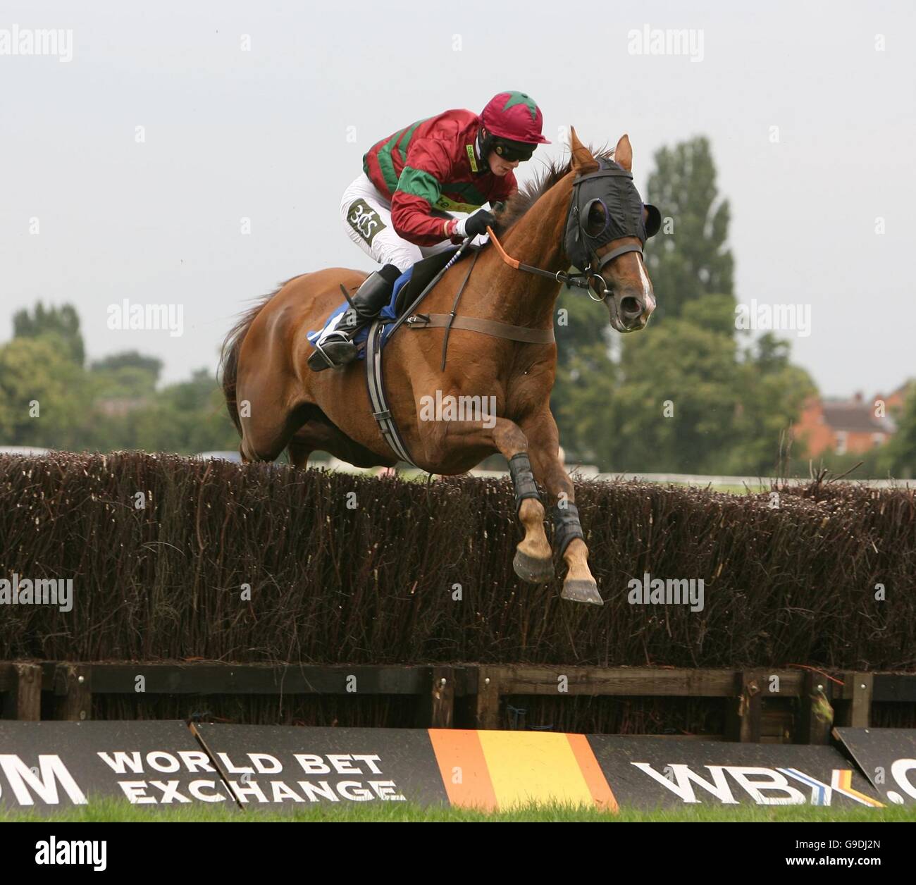Marcus foley hi-res stock photography and images - Alamy