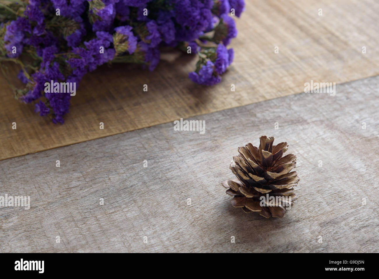 Cone flower closeup hi-res stock photography and images - Alamy