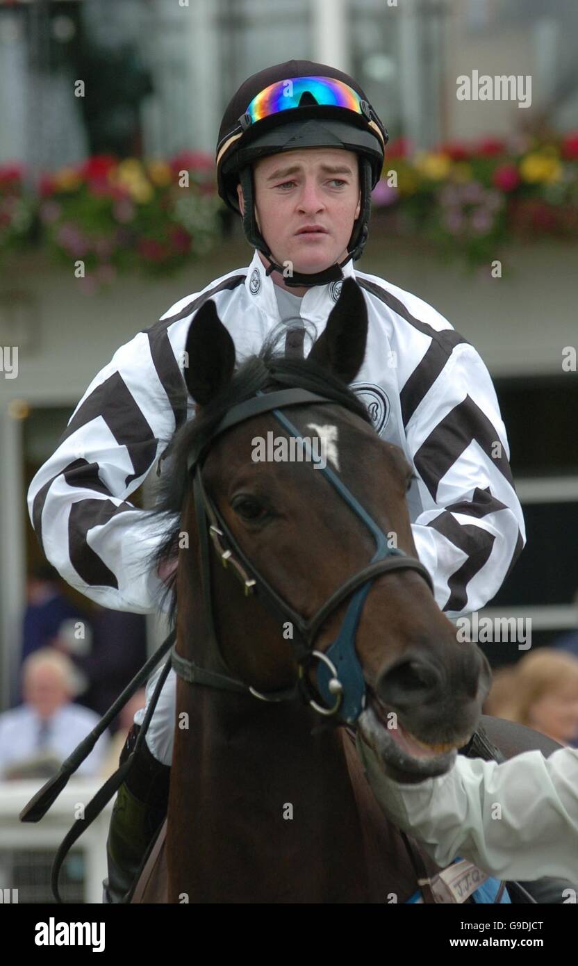 Racing - Beverley Stock Photo - Alamy