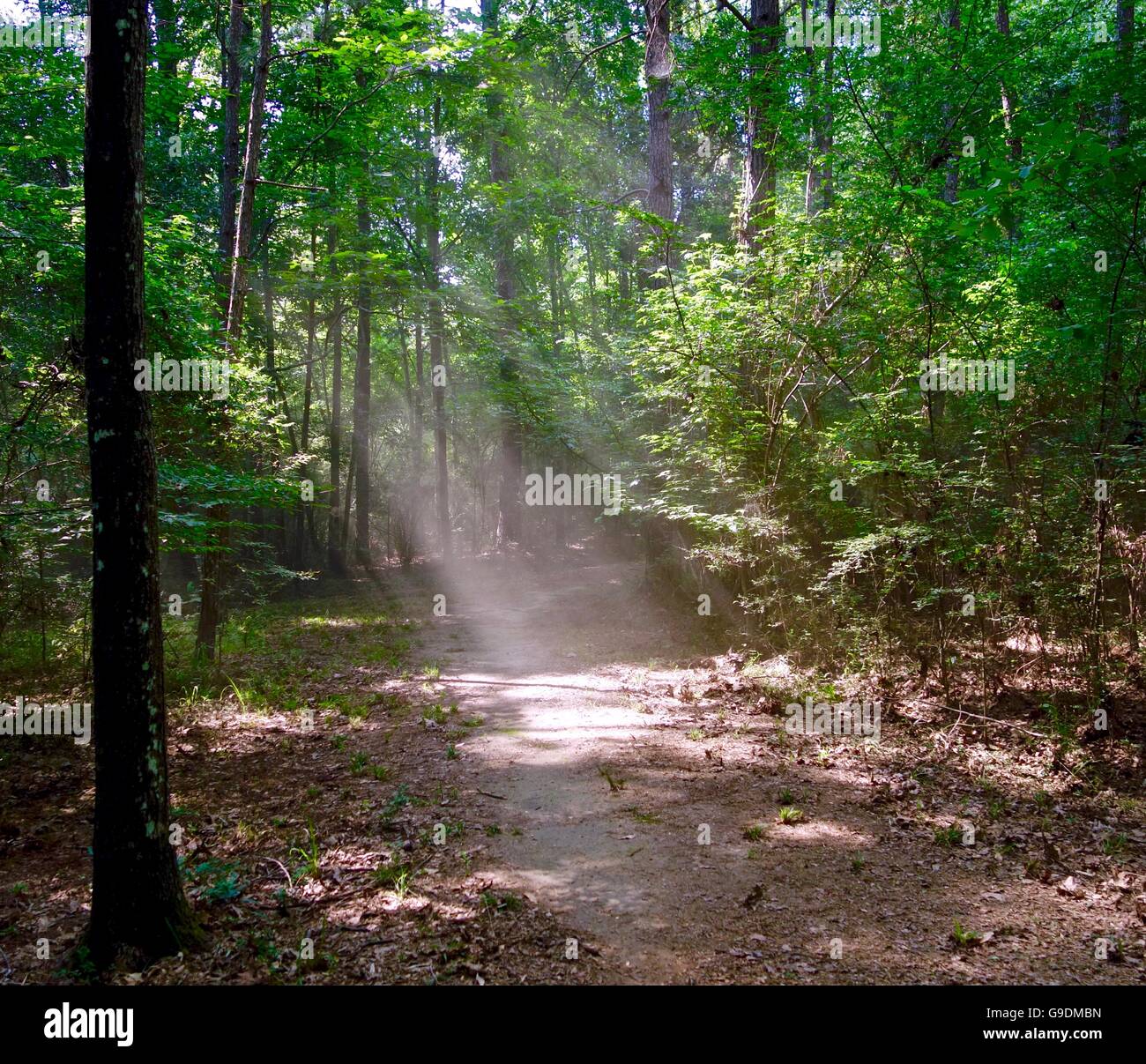 Shining path hi-res stock photography and images - Alamy