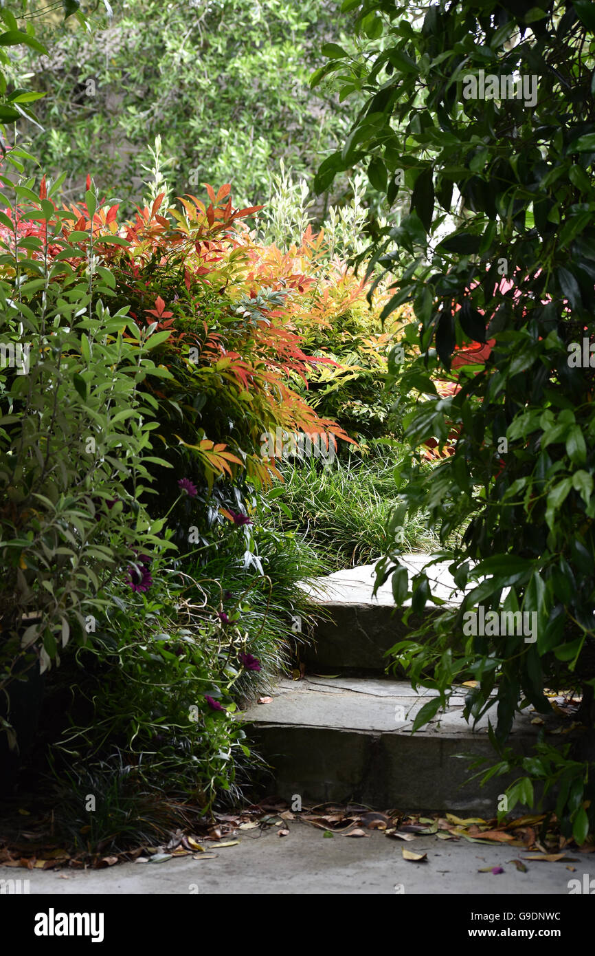 Shallow stairs hi-res stock photography and images - Alamy