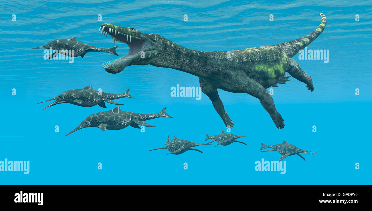 Nothosaurus High Resolution Stock Photography and Images - Alamy