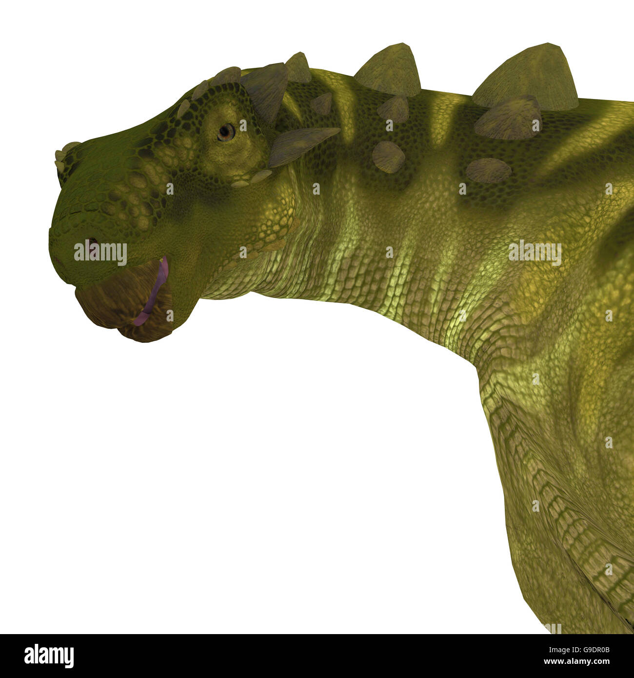 Talarurus was a herbivorous ankylosaurus that lived in Mongolia during ...