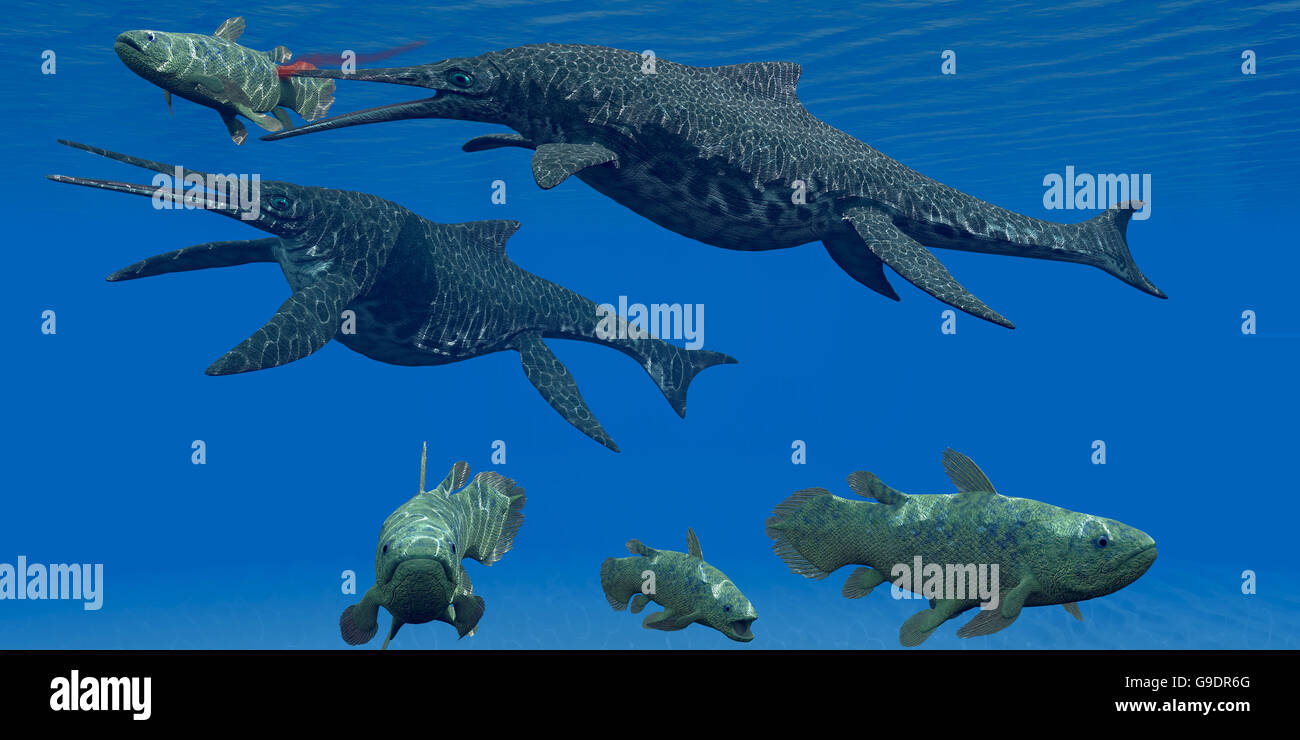 Ichthyosaur hi-res stock photography and images - Alamy