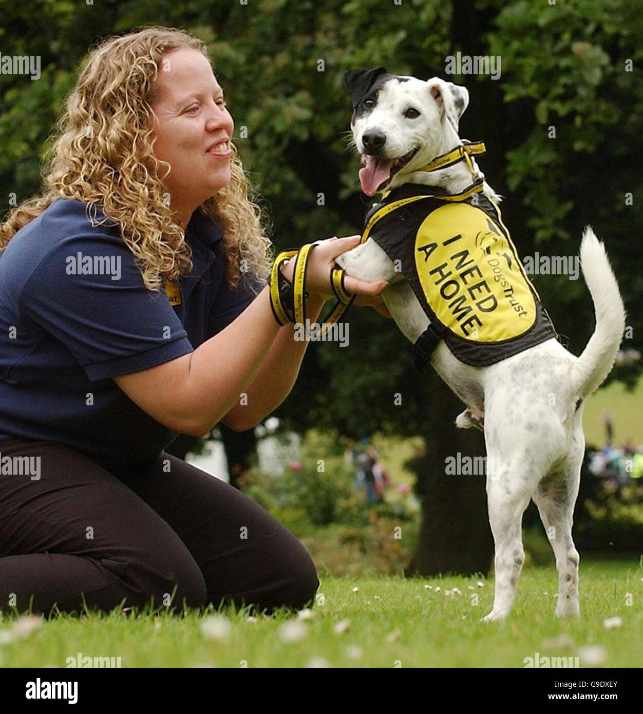 What Is The Aim Of Dogs Trust