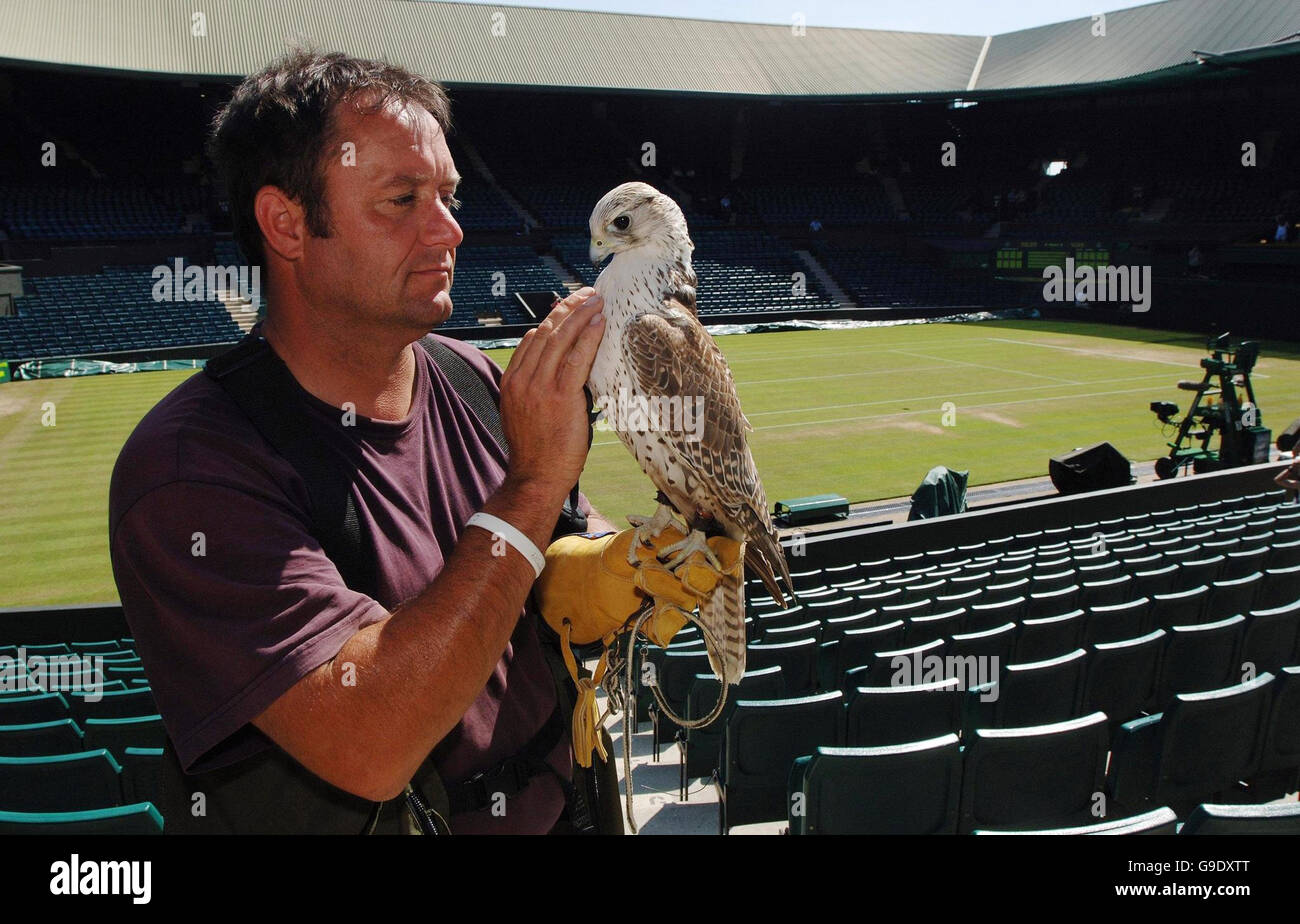 Bird handler Wayne Davis with his Falcon on Centre Court at The All ...