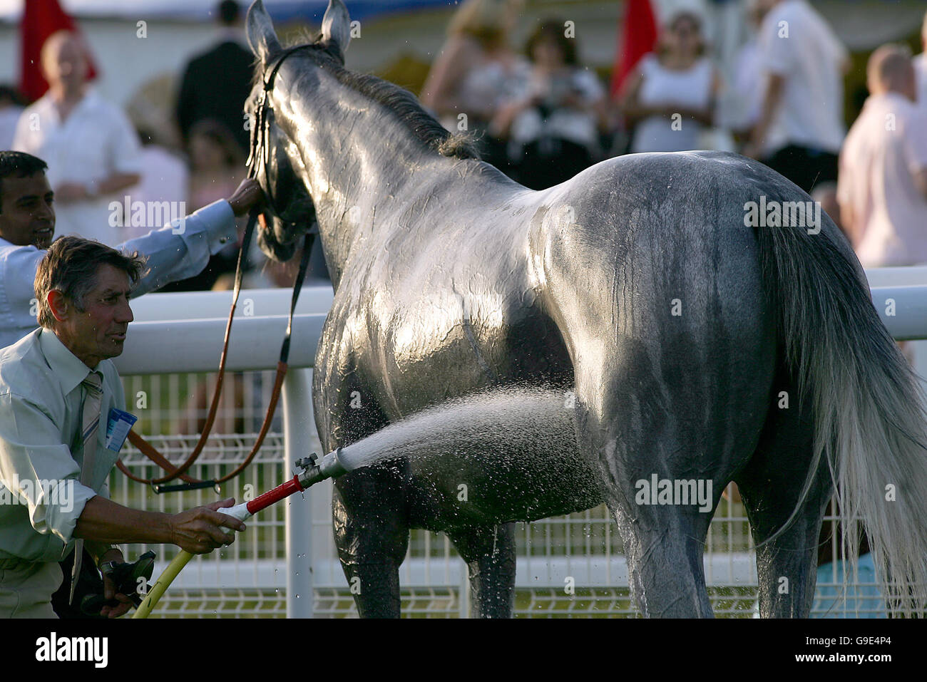 Horse Racing - Epsom Live! featuring UB40 - Epsom Downs Racecourse ...