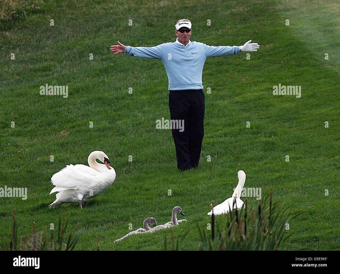 Philip Golding High Resolution Stock Photography and Images - Alamy