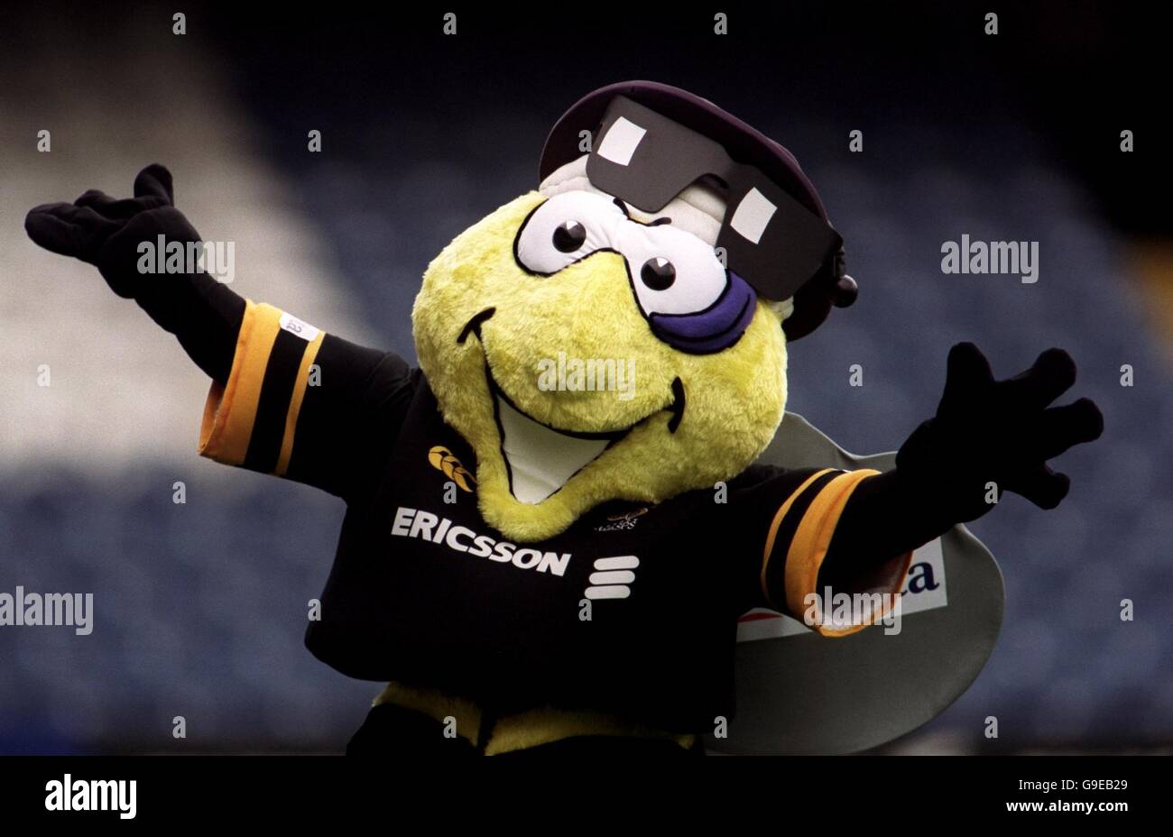 The mascot of london wasps hi-res stock photography and images - Alamy