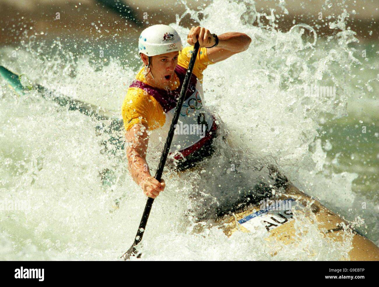 Australias robin bell in action hi-res stock photography and images - Alamy