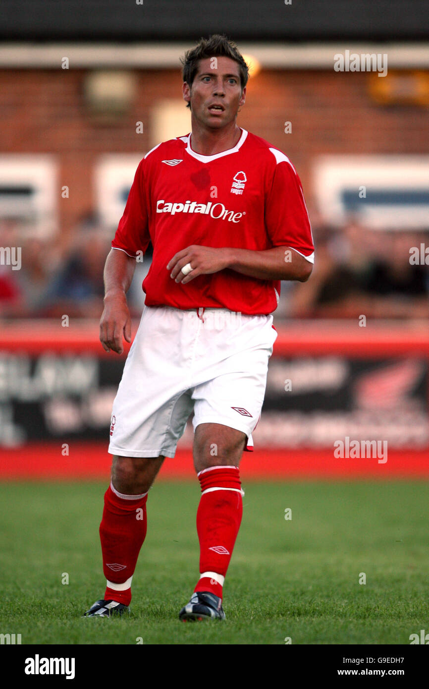 Nicky southall forest hi-res stock photography and images - Alamy