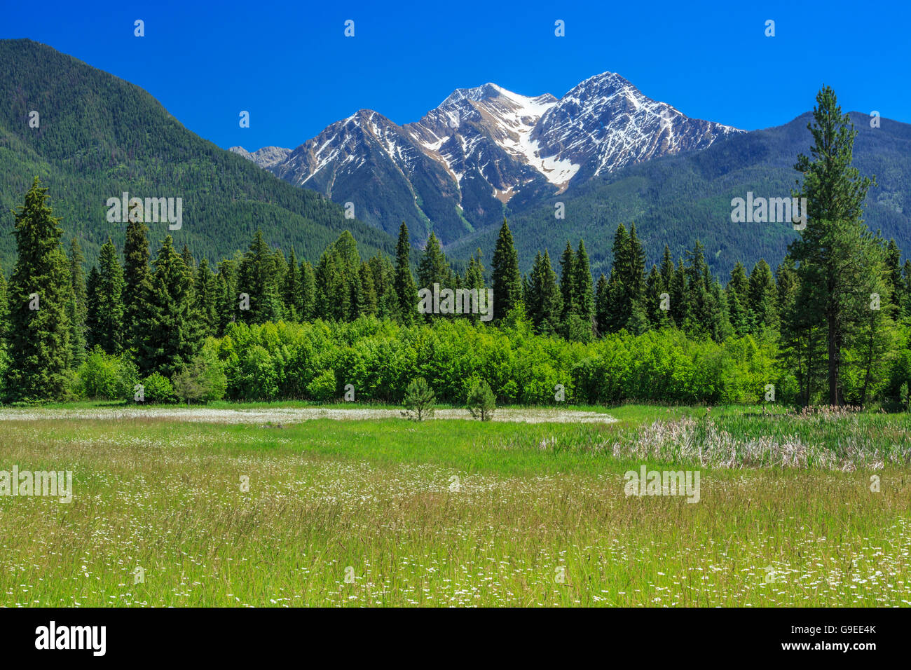 mcdonald peak in the mission mountains near ronan, montana Stock Photo ...
